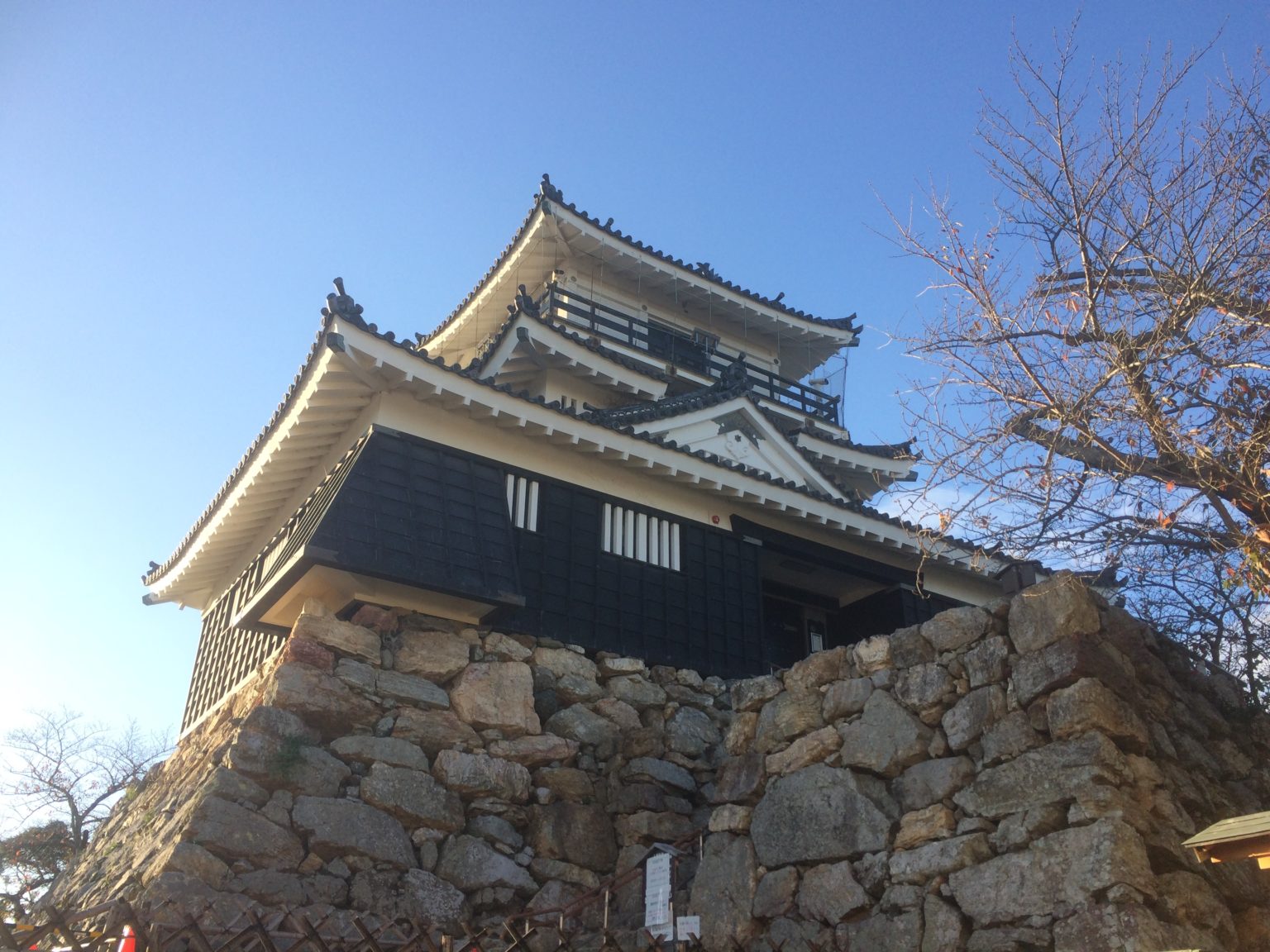 Hamamatsu castle | Tsurugi Tateyama