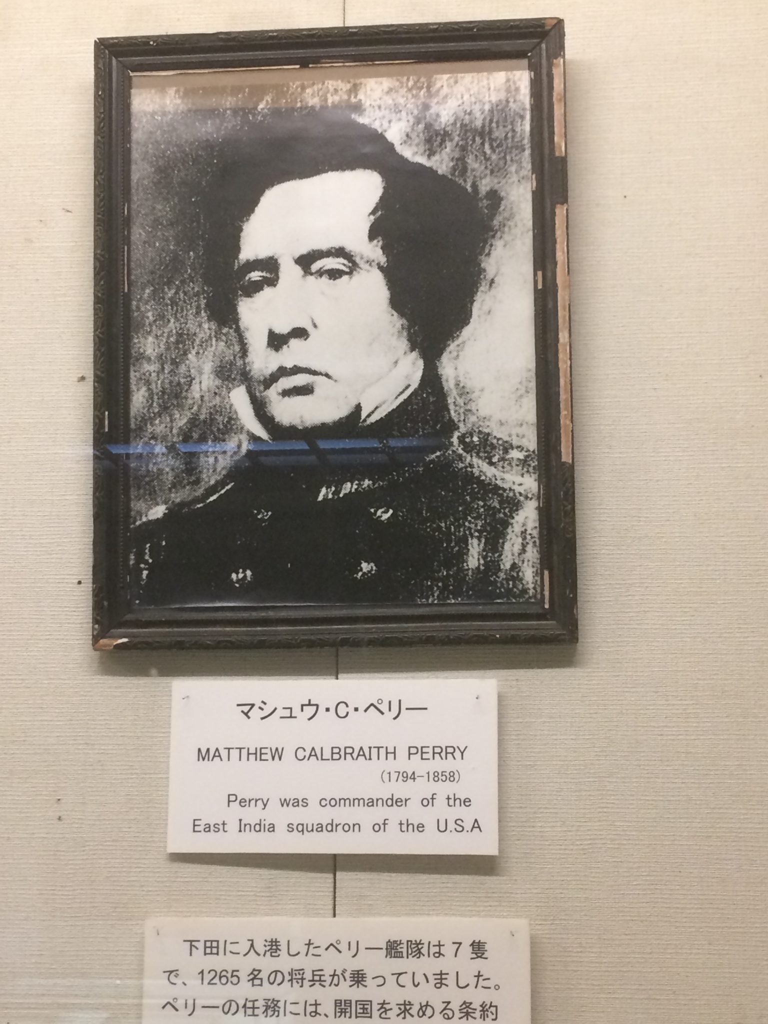 Why did commodore Perry visit Japan ? | Tsurugi Tateyama